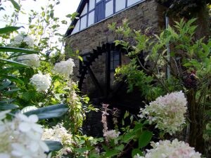 Ortsgemeinde - Gemeinde Waldbreitbach